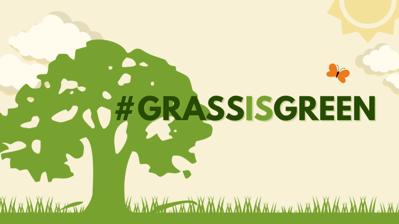 Grass Facts – Lawn Science